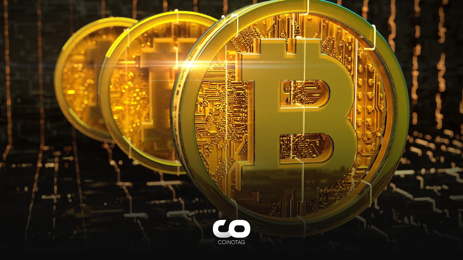 Bitcoin Whales Stagnate While Shark Traders Continue to Accumulate ... Bitcoin Whales Stagnate While Shark Traders Continue to Accumulate ...